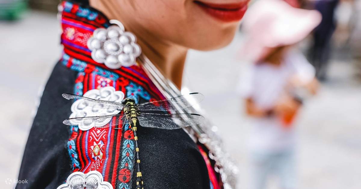 Tour du lịch 1 ngày ngắm cảnh làng Miao và làng Miao Quý Châu Tây Giang Qianhu - Klook Việt Nam